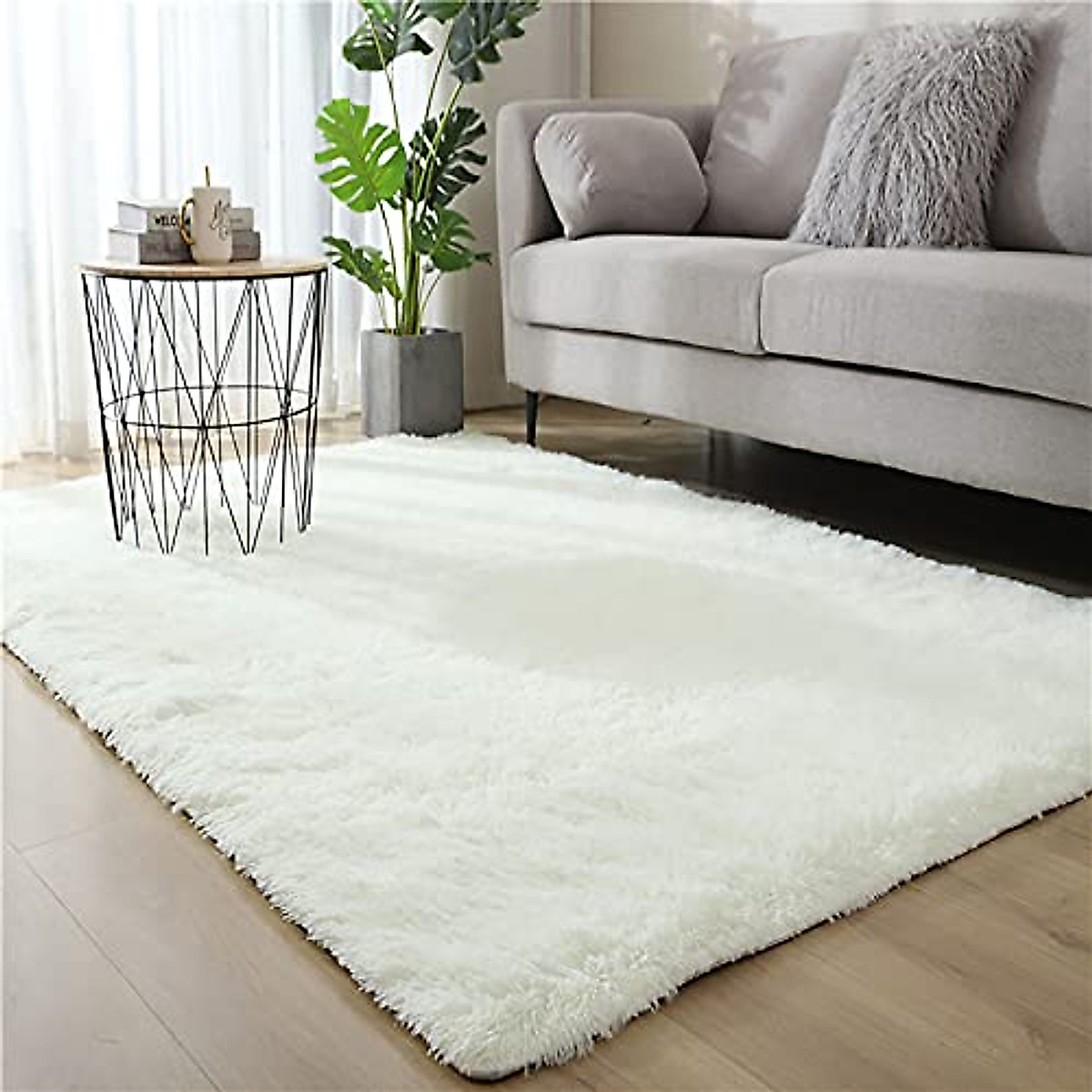 60x120CM Non Slip Bedroom Carpet, Floor Mat, Indoor Living Room Plush Carpet, Home Decoration