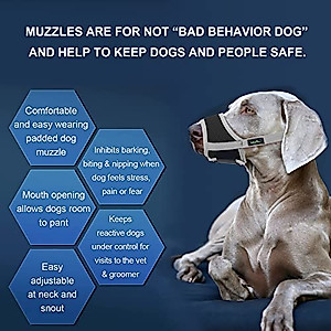 Brilliant Paw Dog Muzzle, Breathable Cloth Muzzle Anti Barking Biting Chewing, Soft Muzzle Dog with Adjustable Velcro, Muzzles for Extra Small, Small, Medium and Large Sized Dog
