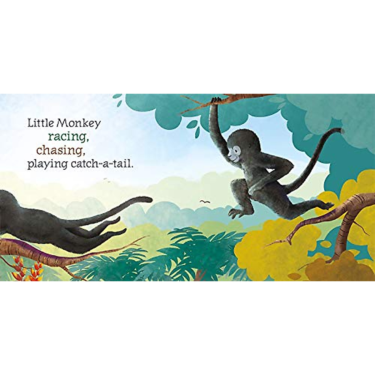 Little Monkey (Little Animal Friends)