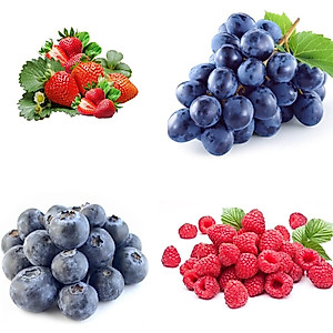 Mixed Fruit Seeds 1000+ Berry Seeds for Planting - Strawberry Raspberry Blueberry & Grape Seeds Fresh Fruit Seeds - Individually Packaged