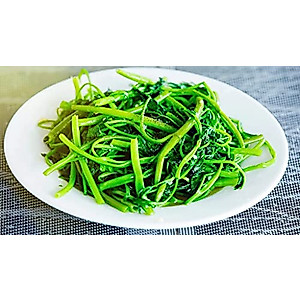 500+ Kangkong Seeds - Rau Muong- Kong Xin CAI- Ong Choy Seeds for Planting- Vegetable Seeds for Yard & Garden Made in USA | Non-GMO | Heirloom | Organic | 95% Germination Rate