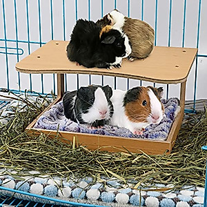 MEWTOGO Guinea Pig Hideout - Natural Wooden Small Animal House Bed with Stairs and Mat, Detachable Small Pet Hut Habitats for Guinea Pig Hamsters Bunny Chinchillas