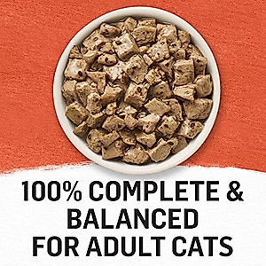 Purina Beyond Natural Cat Food Complement, Mixers+ Digestive Support Wild Salmon & Pumpkin Recipe - (16) 1.55 oz. Pouches