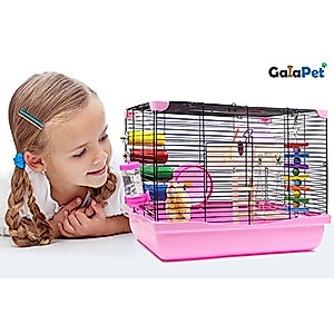 Hamster Cage | Dwarf Hamster Habitat with Exercise Wheel, Water Bottle & Accessories | 18" L x 12.5" W x 13.5" H by GalaPet