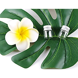 MaxMau Mini Glass Bottles with Screw Caps 5ml 24 Sets Aluminum Top Metal Lids 5 Milliliter Tiny Vials Small Jars DIY Storage Art Craft Decor