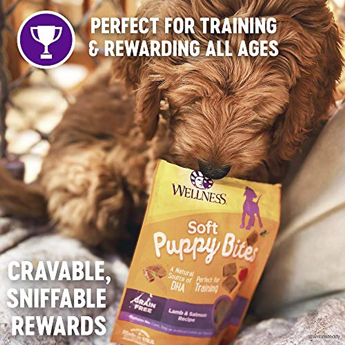Wellness Soft Puppy Bites Natural Grain-Free Treats for Training, Dog Treats with Real Meat and DHA, No Artificial Flavors (Lamb & Salmon, 8-Ounce Bag)