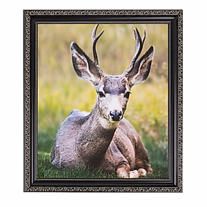 ArtToFrames 16x20 Inch Black Picture Frame, This 1.25 Inch Custom Poster Frame is Antique Black - Comes with Economy Acrylic and Corrugated Backing (WOM5106-16x20)