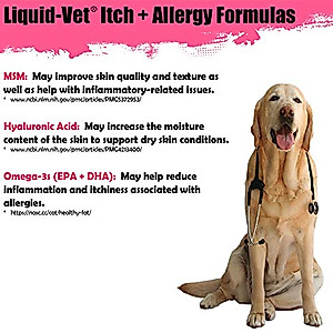 Liquid-Vet by COOL PET Holistics K9 Itch & Allergy Advanced Formula, Chicken Flavor, 32 oz