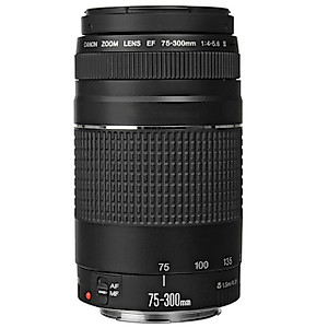 Canon EOS 90D DSLR Camera with EF-S 18-55mm f/4-5.6 is STM Lens + Canon EF 75-300mm f/4-5.6 III Lens + 500mm f/8 Focus Preset Lens + 2 Pc 64GB Memory Cards + Tripod + Case + LED Video Light & More