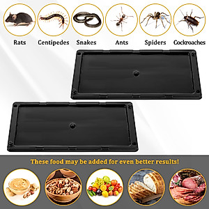 Qualirey 24 Pack Glue Traps for Rats and Snakes, Larger and Heavy Duty Baited Sticky Traps with Non Toxic Glue, Exterminator Plastic Mouse Indoor Trap, Ready to Use, Safe to Children and Pets (Black)
