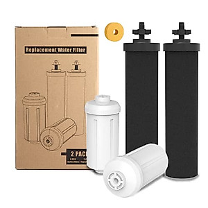Water Filter Replacement for Berkey Water Filter, 2 Activated Carbon Filters and 2 Fluoride Filters Compatible with Purifiers Berkey Gravity Water Filter System, Pack of 4