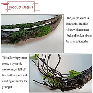 Freiomyi Reptile Vines Plants Flexible Jungle Terrarium Plant Leaves Decor Bearded Dragon Climbing Fake Plastic Leaves Pet Habitat Decoration for Lizard, Hermit Crab, Snake, Frogs