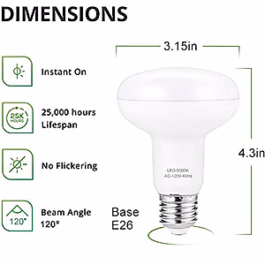 Small frog Floodlight Indoor BR25 Led Bulbs - 9W, Replace 75W Incandescent, 2700K Warm White 900LM Dimmable E26 Light Bulbs for Home Lighting, Pack of 4