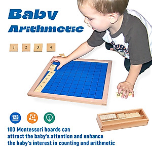 Montessori Toys for 3+ Year Old Hundred Board, Consecutive Counting Numbers 1-100 for Learning & Educational Toy- Math Games Board,Montessori Math Materials for Large Size 13.7" X 13.7 "X 0.4"