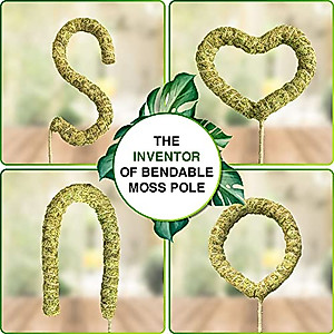 DUSPRO 2 Pack 25 Inch Real Moss Pole for Monstera Bendable Plant Stakes, Sphagnum Handmade Slim Forest Moss Stick, Potted Plants Support/Totem Perfect for Small/Medium Climbing Plants Indoor
