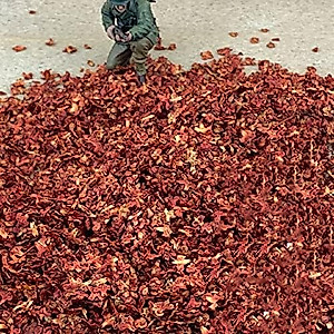 Realistic Miniature Leaves Simulation Leaves for DIY Mini Model Railway Fairy Garden Architecture Diorama Scenery Landscape Layout, Pack of 4