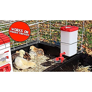 No-Drip 32 Oz Small Animal Drinking Bottle with Metal Cup for Small Pet/Bunny/Ferret/Hamster/Guinea Pig/Rabbit/Chinchilla/Mouse/Rat. BPA-Free.