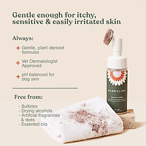 Dandylion Clean Paws | No-Rinse Foaming Cleanser | Gentle, Fragrance-Free, and pH Balanced to Provide a deep Clean Safe for All Dogs | 5fl oz. Bottle with Silicone Bristle Brush