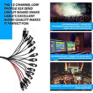 Seismic Audio Speakers 12 Channel Low Profile XLR Send Circuit Board Snake Cable, XLR Splitter Cable, 50 Feet