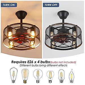 Dannilong Caged Ceiling Fans with Lights and Remote, Farmhouse Ceiling Fan with Light Bladeless, Small Ceiling Fan for Kitchen Bedroom Outdoor, 18 Inch Black Fandelier, Reversible Quiet Motor