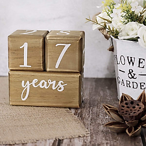 Baby Monthly Milestone Blocks for Boy or Girl, 7 Blocks, Milestones Age Block Set for Baby Shower, Pregnancy Countdown, Baby Age Photo Blocks