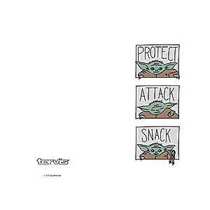 Tervis Star Wars - The Mandalorian Protect Attack Snack Triple Walled Insulated Tumbler Travel Cup Keeps Drinks Cold & Hot, 30oz, Stainless Steel