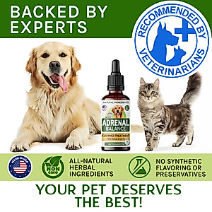 Аdrеnаl Balance for Dogs and Cats - Cushings Treatment for Pets, Аdrеnаl Support w/Ashwagandha, Licorice Root, Rhodiola Rosea – Best Cushings Treatment for Dogs - 2oz Harmony Herbal Drops
