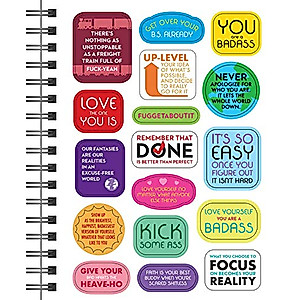 You Are a Badass 17-Month 2020-2021 Monthly/Weekly Planning Calendar: Deluxe Organizer (August 2020-December 2021)