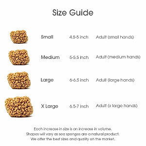 Naroa Massage Natural Shower Sponge | Unbleached Body Scrubber Puff | Bath Sponge for Healthy Skin | Eco Friendly Sustainable Sea Sponge (Massage - X Large)