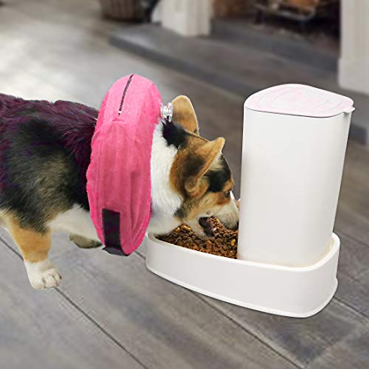 MCHY Inflatable Dog Cone,Adjustable Recovery Collar for Dogs After Surgery,Prevent from Biting & Scratching,Not Block Vision (M, Pink)