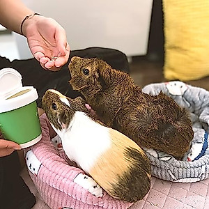 GuineaDad Guinea Pig Pea Flakes - Guinea Pig Food - 1 x 9.5 Ounce Pack - Nourish Series of Pea Flakes for Guinea Pigs - Guinea Pig Treats Help with Bonding - High in Vitamins and Minerals - Large