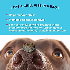 GoodGood Calming Dog Supplements; Helps Manage Stress and Nervousness; Chewable Soft Treats with Ashwagandha, Chamomile, L-Theanine; Probiotics; 90 Natural Flavor Chews