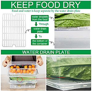 Meanplan Food Storage Containers for Fridge Plastic refrigerator Organizers with Removable Drain Plate and Lid Stackable Produce Containers to Keep Fruits, Vegetables, Meat (12 Packs)