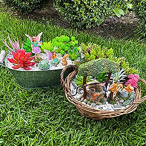 Mood Lab Fairy Garden - Miniature Figurines and Accessories Wishing Well Set of 5 pcs - Fairies Statue Kit