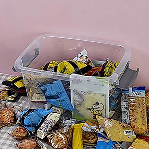 Minekkyes 6-Pack Home Storage Bins, Plastic Container, Latching Box with Handle (Grey handle)