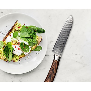 Wakoli EDIB 4-pcs Damascus Knife Set I Professional Kitchen Knives made of Japanese Damascus Steel VG10 Chef Knife Set with Pakka Wood Handle in Gift Box