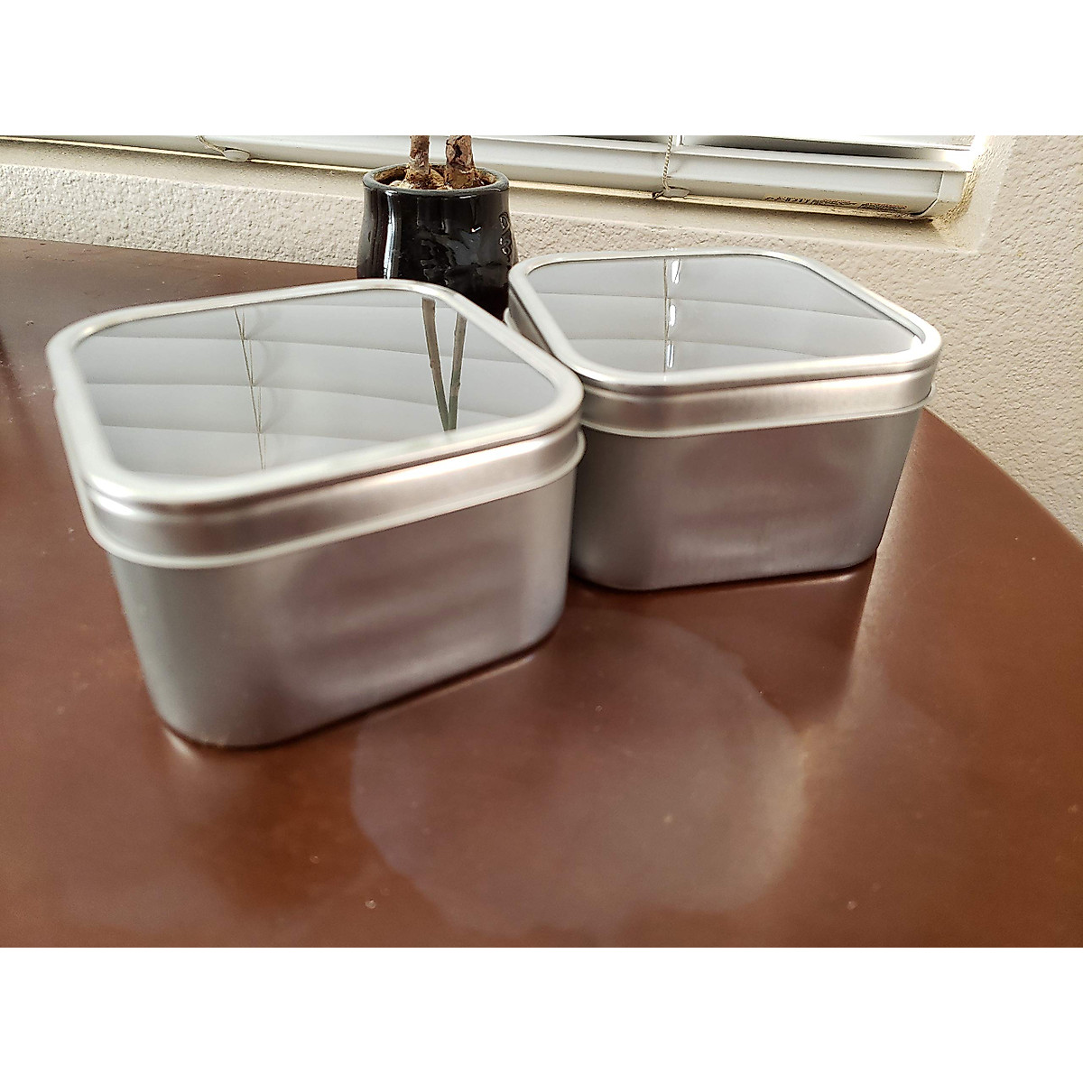 Square Metal Tin Box Storage Containers with Windowed Lids - 4x4x2.25 Inches, 16 oz. - Set of 2