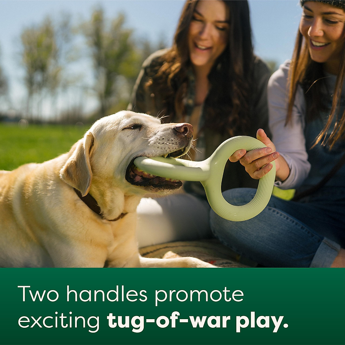 Earth Rated Tug of War Dog Toy, Interactive Pull Toy for Adult and Puppy Dogs, Ergonomic Grip, Natural Rubber, Large, Green