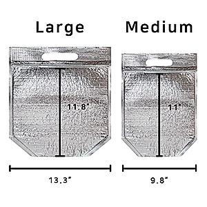 Insulated Lunch Bag with Zip Lock & Handle, Reusable Cool & Thermal Bags, Cooler Pouch, Hot & Cold, Ideal for Sandwich, Snack, Drink, Grocery, Camping (Medium_5 bags 9.8 x 11.0 inches + 5 Ice packs)