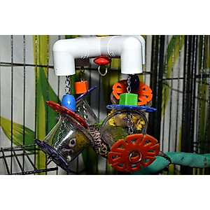 Super Bird Creations SB634 Foraging 4 Way Forager Bird Toy with Clear Acrylic Cups, Medium/Large Bird Size, 12"x7"x7"