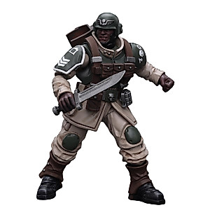 HiPlay JoyToy Warhammer 40K Collectible Figure: Astra Militarum Cadian Command Squad Veteran with Regimental Standard 1:18 Scale Action Figures JT7929 (Veteran with Regimental Standard)
