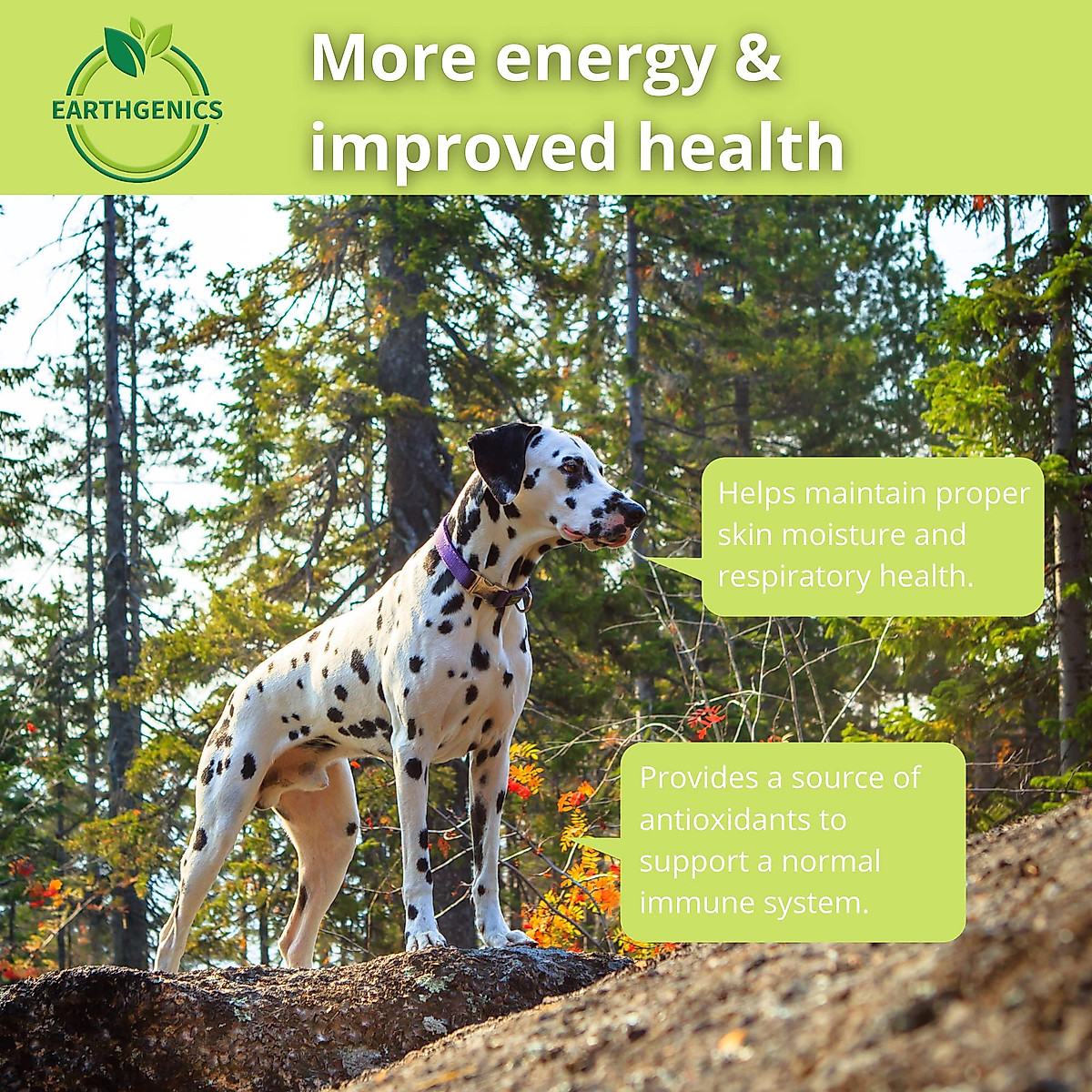 Premium Dog Joint Supplement with Glucosamine, Chondroitin, MSM, Omega 3 and 6 – Natural Dog Hip and Joint Supplement for Mobility – 90 Soft Chews