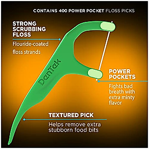 DenTek Fresh Breath Floss Picks, Mint Flavor, 400 Floss Picks