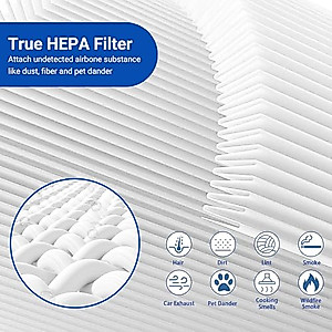 MK01 & MK06 True HEPA Filter Replacement for MK01 MK06, TZ-K1 and DH-JH01 Air Purifier, Standard Version, Blue, 2 Pack