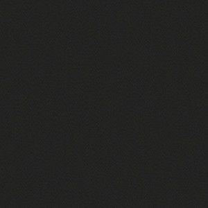 Arden Selections ProFoam Rounded Back Seat Cushion Cover 19 x 20, Onyx Black