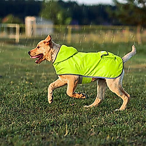 Illumifun Dog Raincoat with Hood - Waterproof Reversible Dog Coats, Lightweight Dog Rain Jacket for Small Medium Large Dogs (X-Large)
