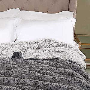 LAGHCAT Sherpa Thick Blanket, Double Side Sherpa Fleece Blanket, Cozy Warm Sherpa Throw Blanket in The Whole Winter. Fuzzy Fluffy Soft Twin Size Grey Blanket Suitable for Couch Bed(60"x80")