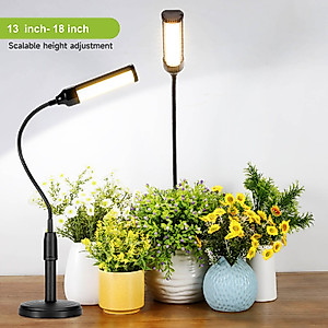 CHANGSHENG Grow Lights for Indoor Plants Desk LED Grow Light with Base Full Spectrum 50 LEDs Warm White for Indoor Plant Growing Lamp, Adjustable Gooseneck, Suitable Plants Growth (Without USB Plug)