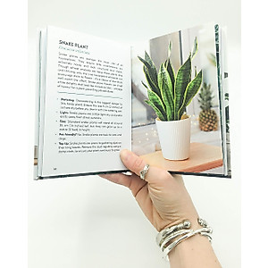 The Little Book for Plant Parents: Simple Tips to Help You Grow Your Own Urban Jungle