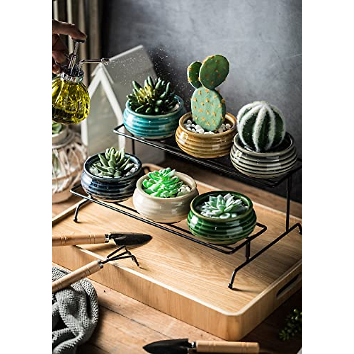 Succulent Plant Pots Stand 6pcs Indoor Plants Live 2 Tier Decorative Ceramic Small Plant Pots with Stand Holder Mini Flower Pots Gifts for Plant Lovers Home Office Desk Garden Mini Cactus Pot